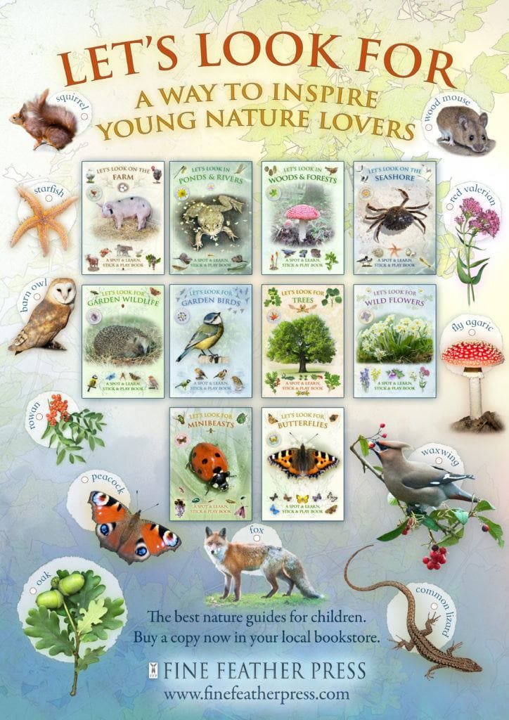Lets Look For poster Fine Feather Press – Bounce Sales & Marketing Ltd.